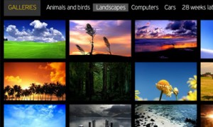 FluidGrid flash image gallery – malihu | web design